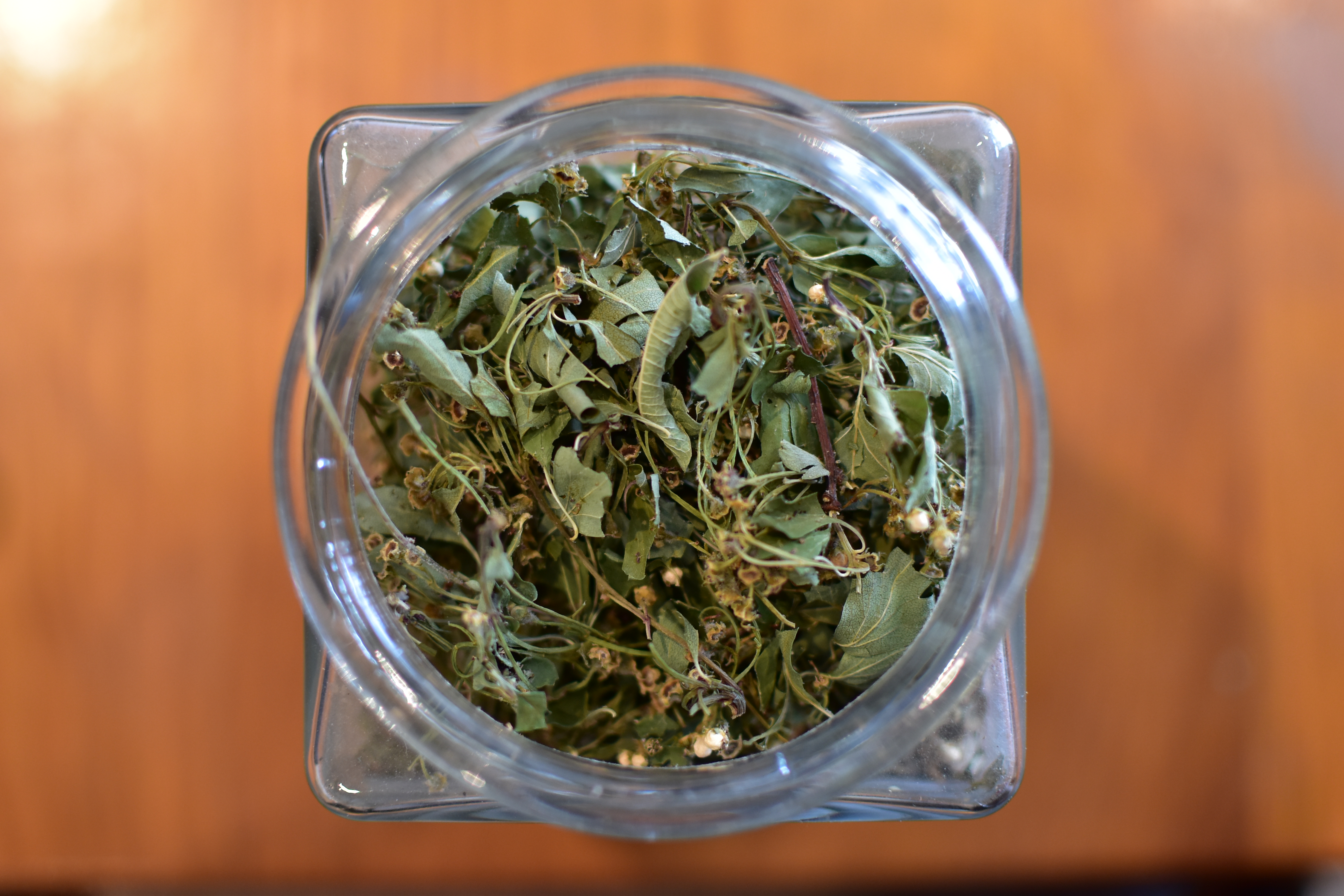 Hawthorn leaf & flower | Crataegus spp | Organic - The Apothecary