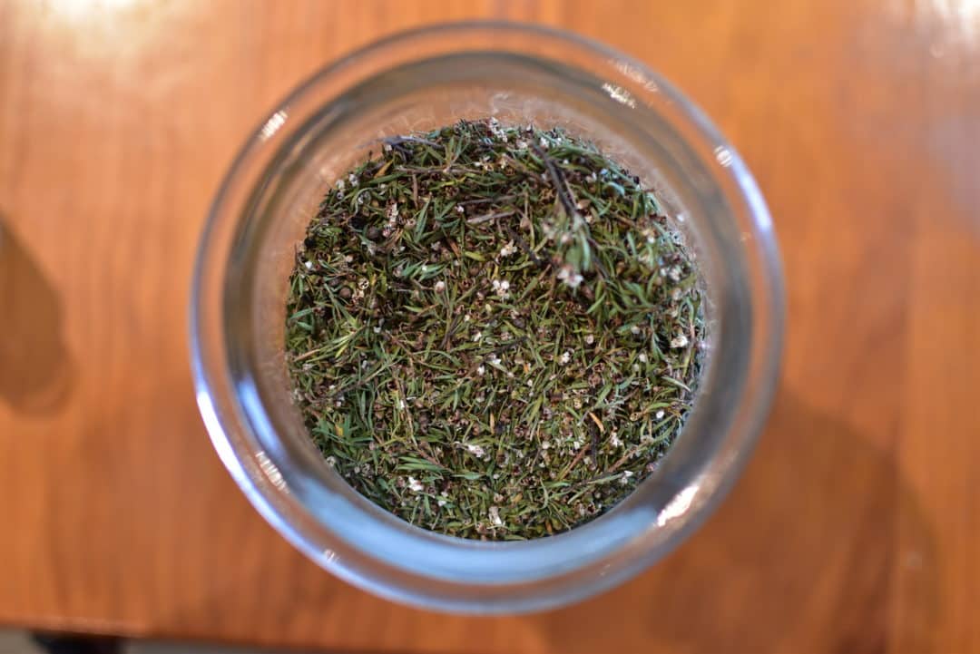 Kanuka leaf | Kunzea ericoides | Wildcrafted | The Apothecary New Zealand